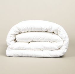 Online Bus Ticket Booking, Route, Time Schedule | Rai Bus Service